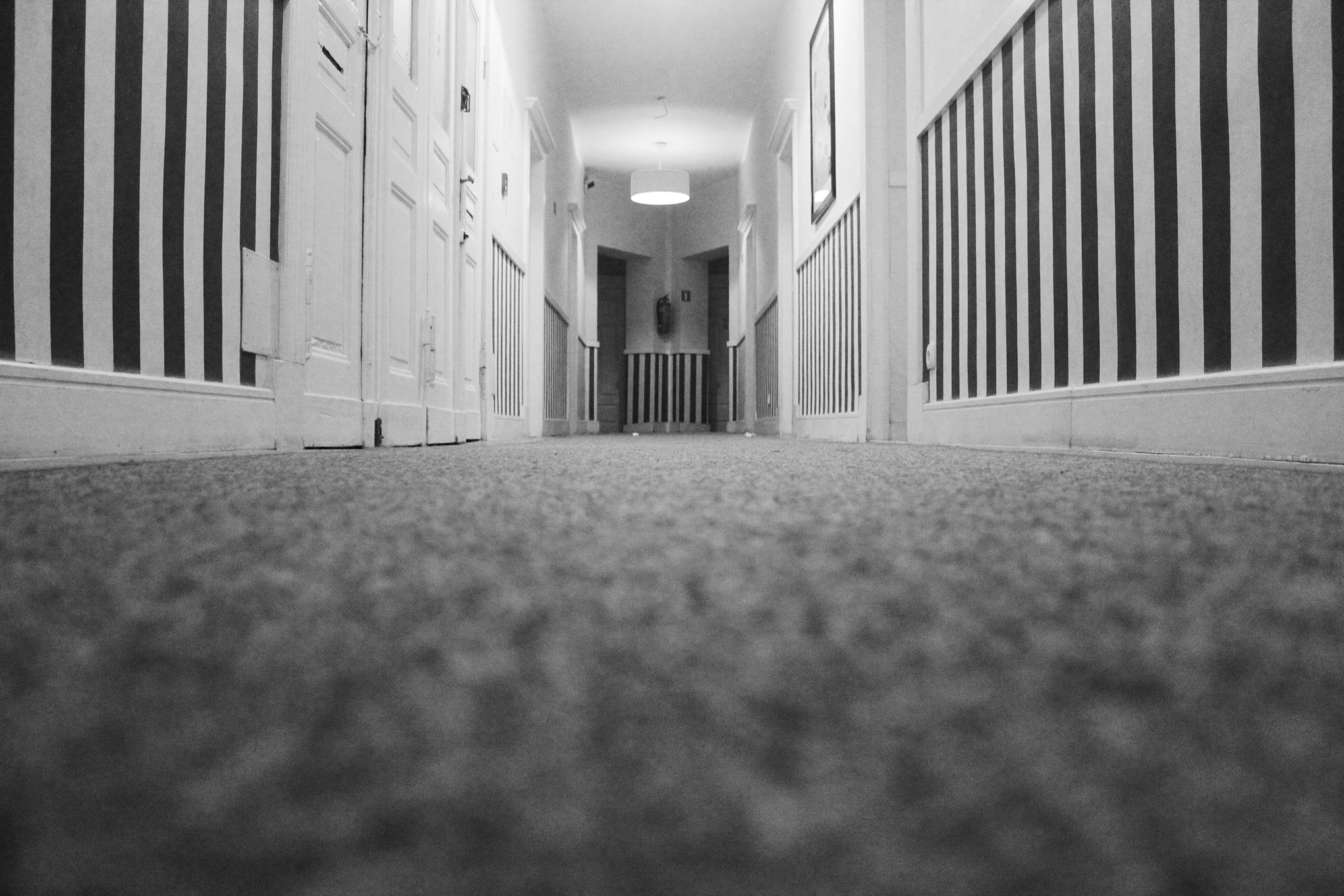 How To Choose What Carpet To Go With Your Home Decor Welch Mill how-to-choose-what-carpet-to-go-with-your-home-decor-welch-mill